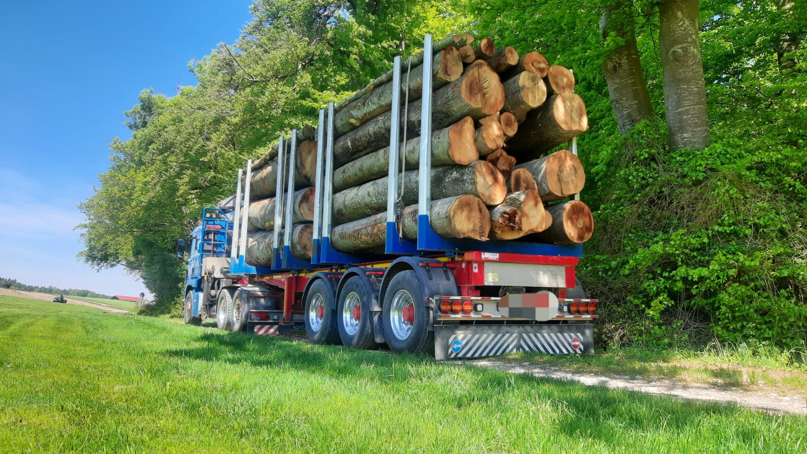 Florian Tränkl - Brennholz-Stammholz